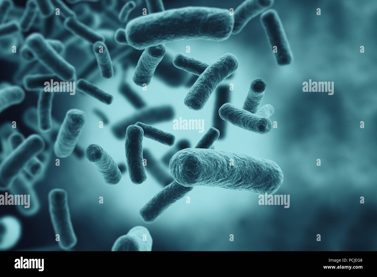 Microscope image of bacteria hi-res stock photography and images - Alamy