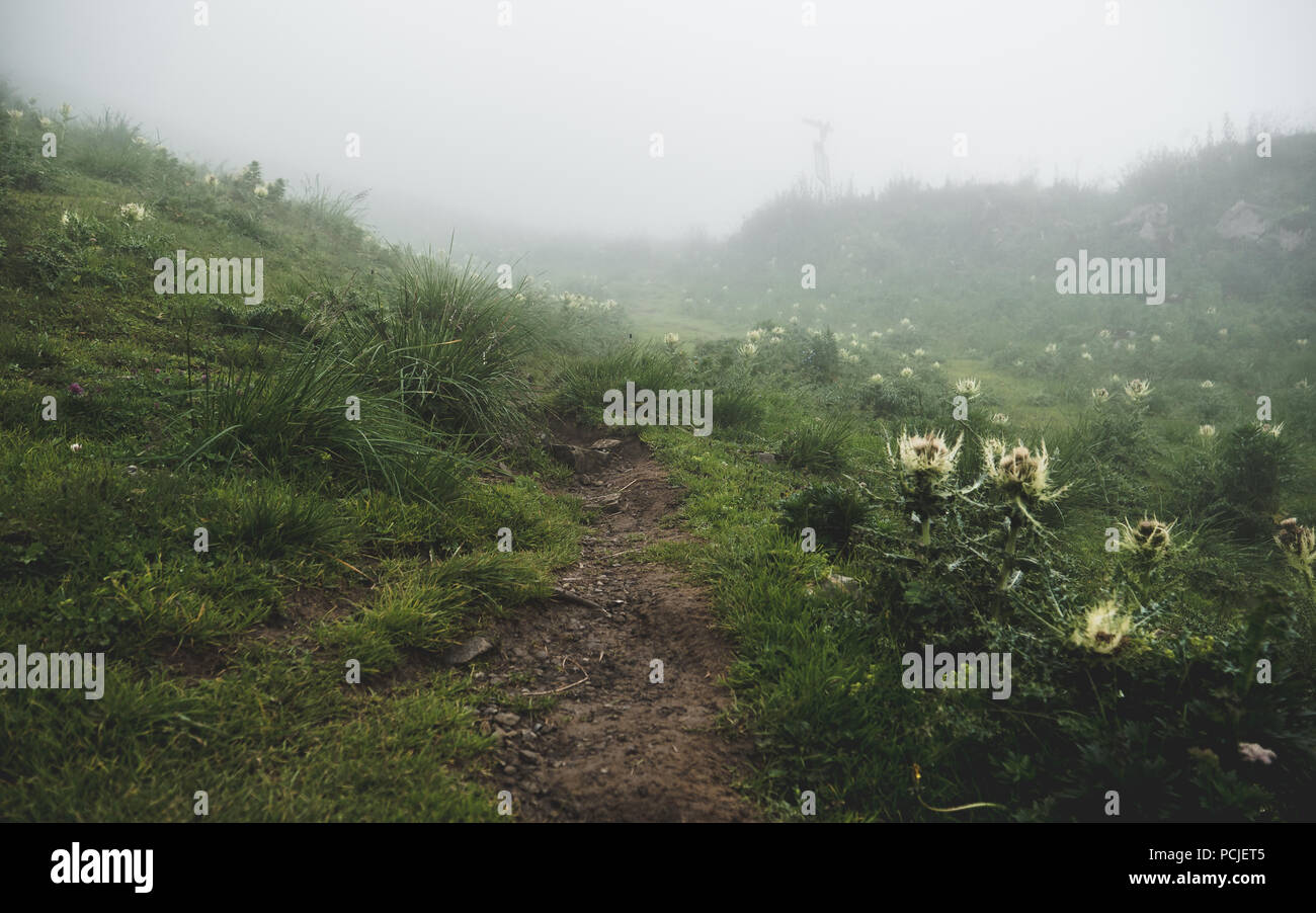 Scary Pathway High Resolution Stock Photography and Images - Alamy