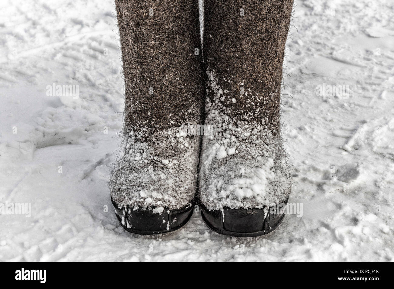 Traditional russian valenki felt boots hi-res stock photography and ...