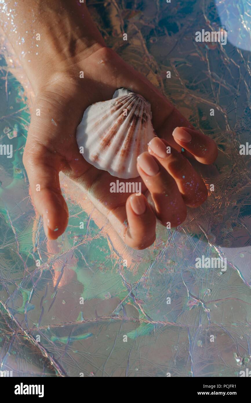 Woman's hand holding a seashell Stock Photo - Alamy