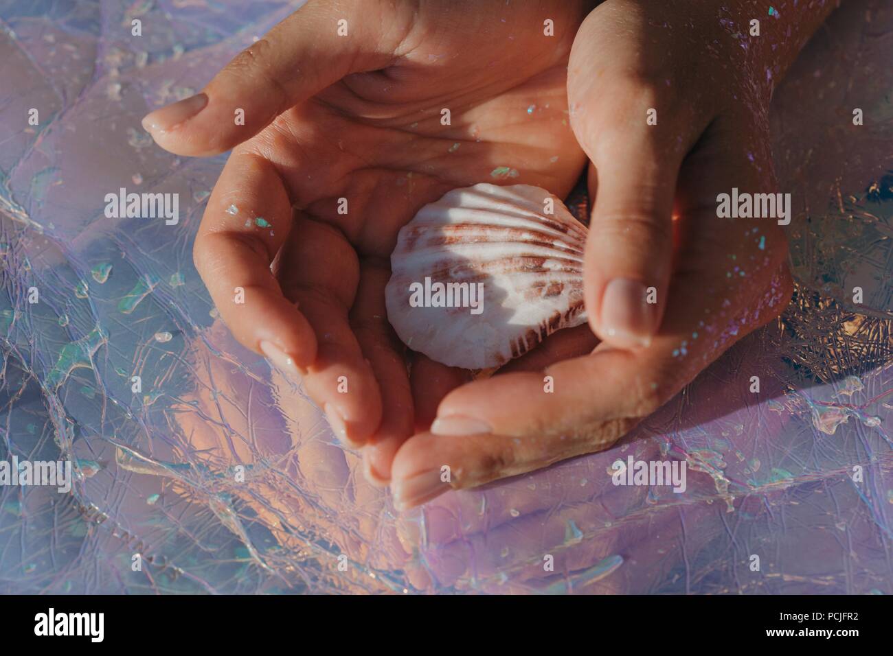 Woman's hand holding a seashell Stock Photo - Alamy