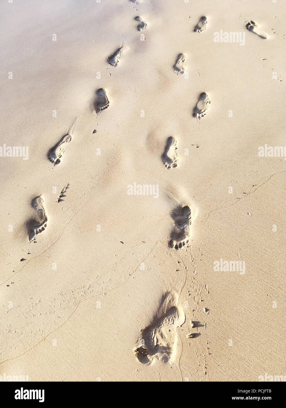 Climate footprint hi-res stock photography and images - Alamy