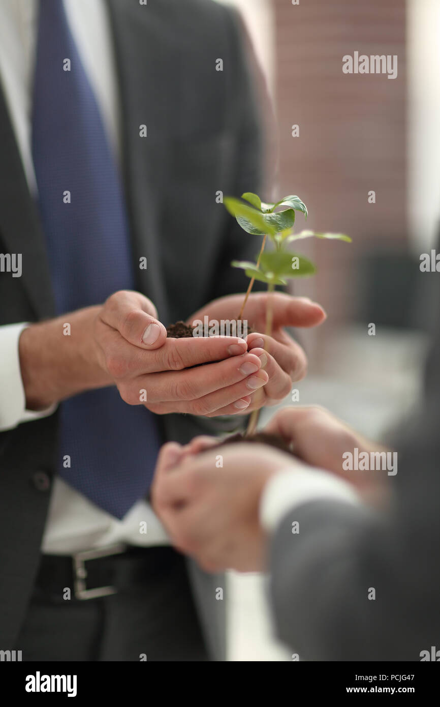 First sprout hi-res stock photography and images - Alamy