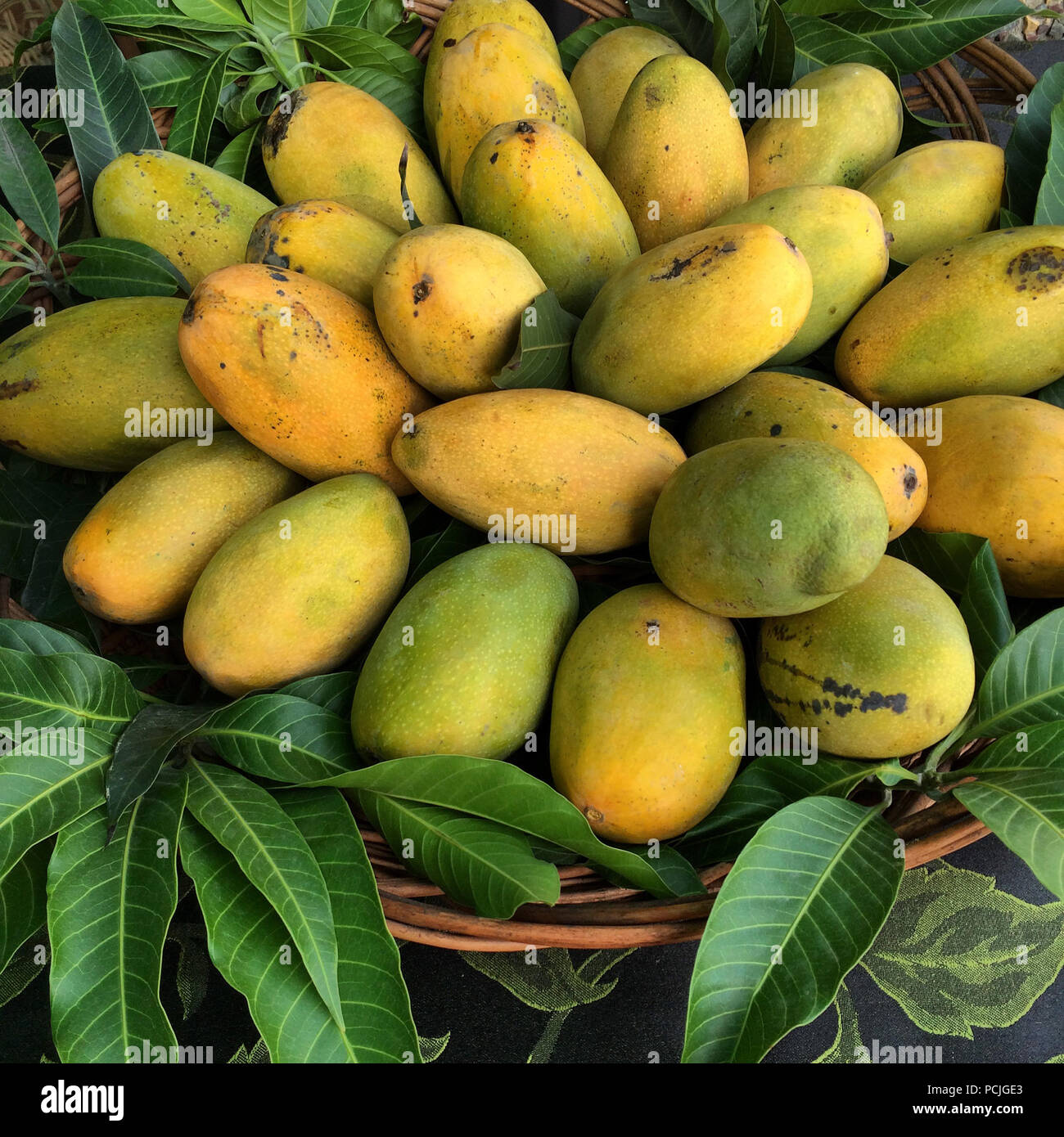 Basket of fresh mangoes Stock Photo - Alamy