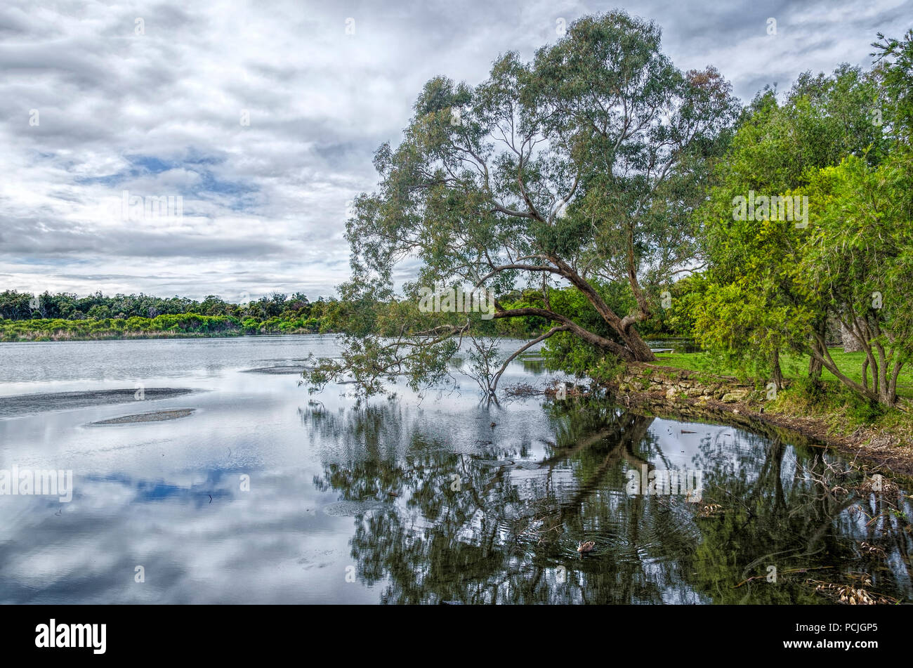 Yanchep Lake, Perth, Western Australia, Australia Stock Photo - Alamy