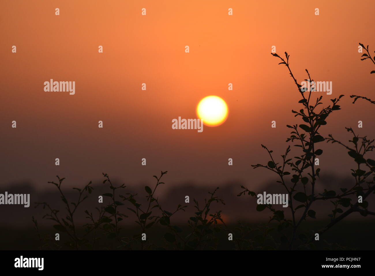 sun setting above river Stock Photo - Alamy