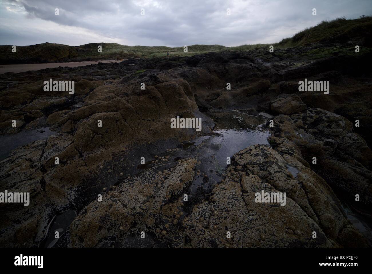 Rockpool on a rocky beach in Turnberry, Scotland. The rock pool has ...