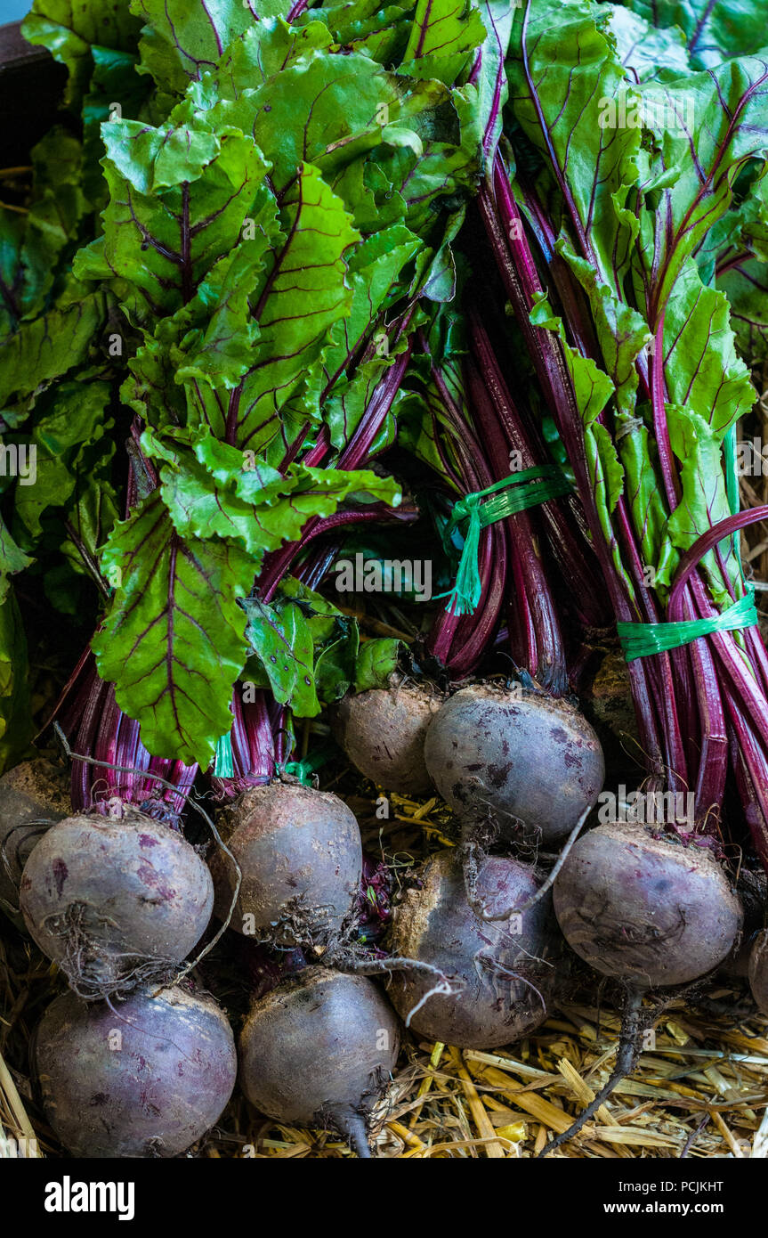Bunch of beetroot hi-res stock photography and images - Alamy