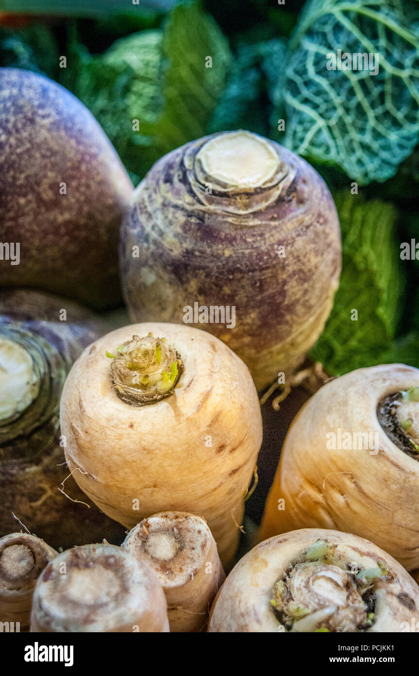 Turnips winter hi-res stock photography and images - Alamy