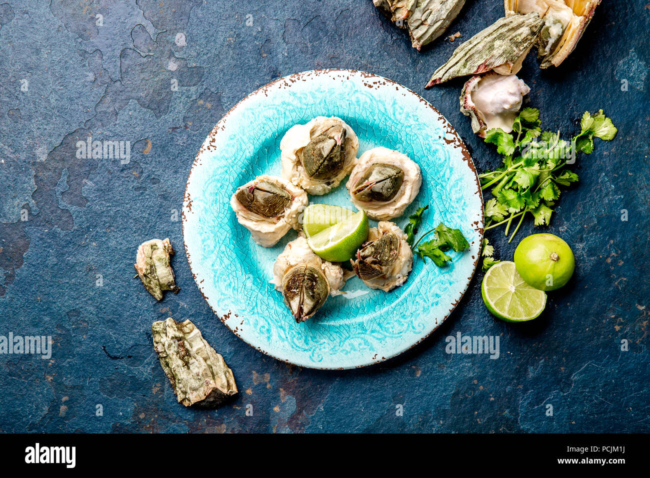 Pyura High Resolution Stock Photography and Images - Alamy