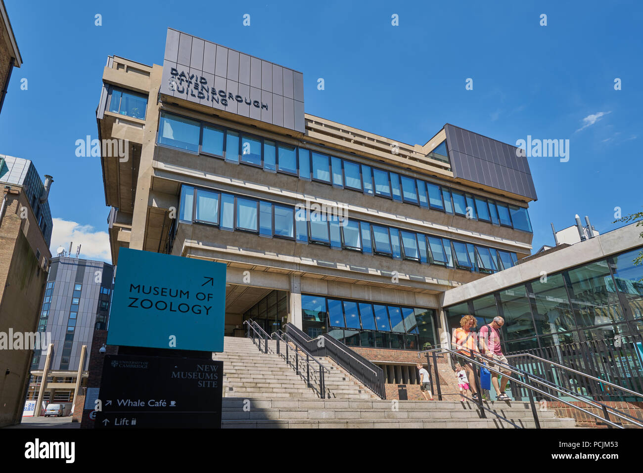 Cambridge zoology museum hi-res stock photography and images - Alamy