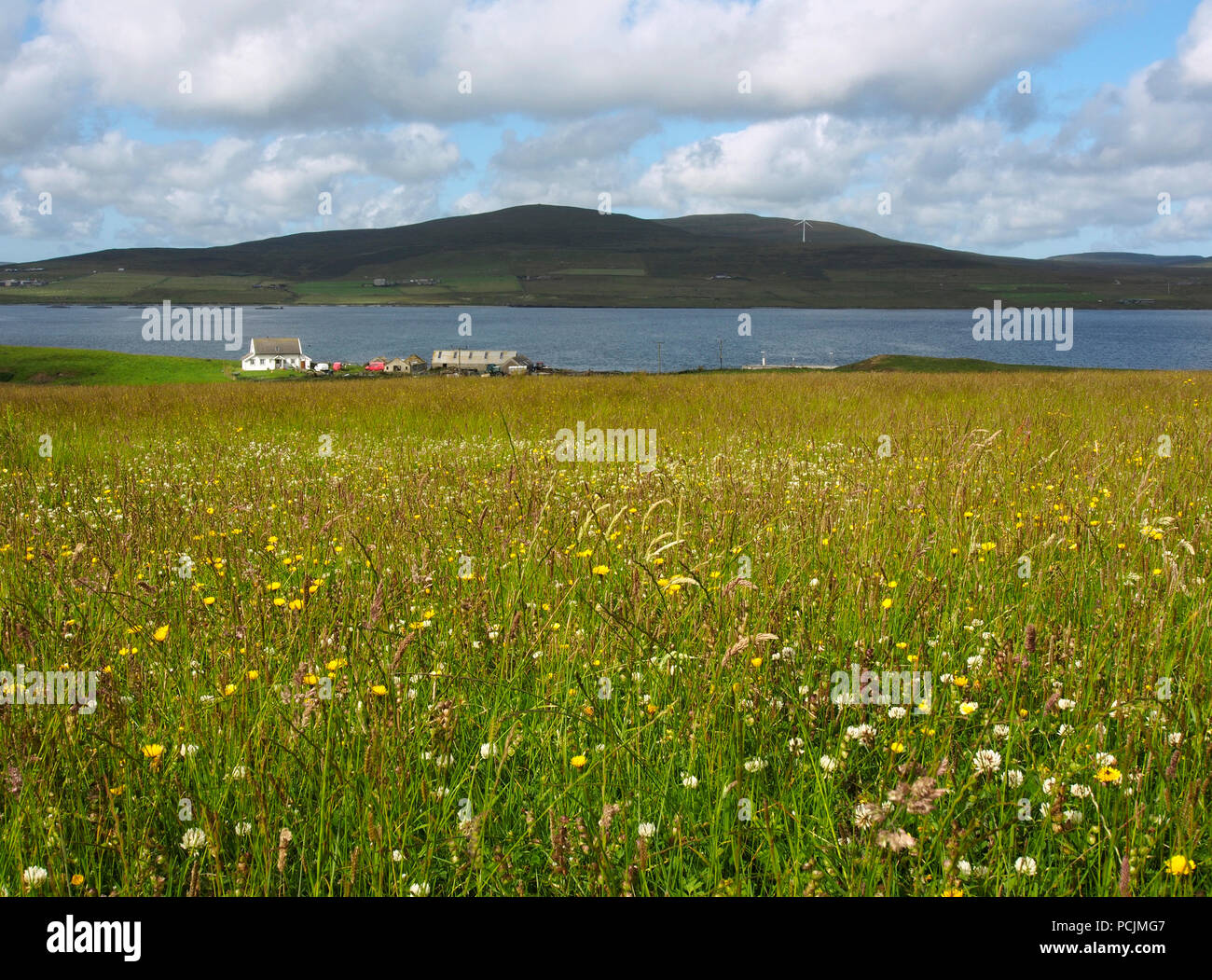 View west from Egilsay to Rousay, Orkney Stock Photo - Alamy