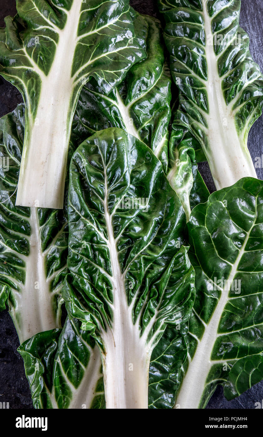 Mangold on black background. Top view Stock Photo - Alamy