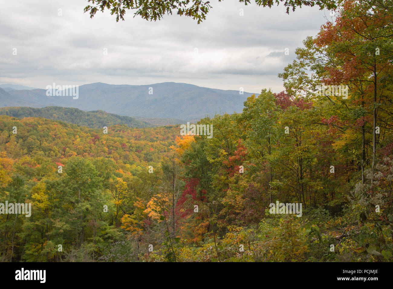 Smoky mountains with colorful fall foliage Stock Photo - Alamy