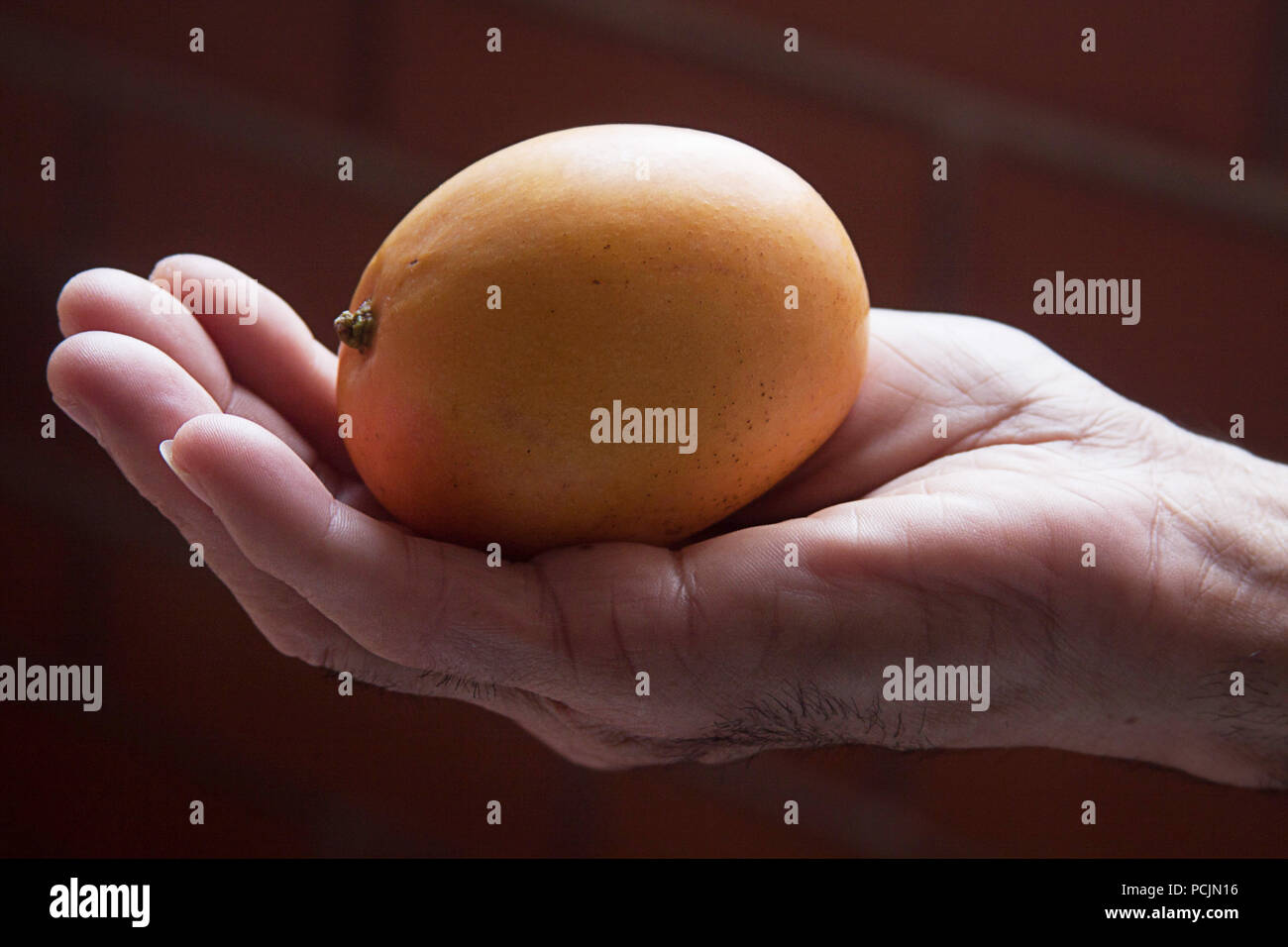 Cultivated mostly for their edible fruit hi-res stock photography and ...