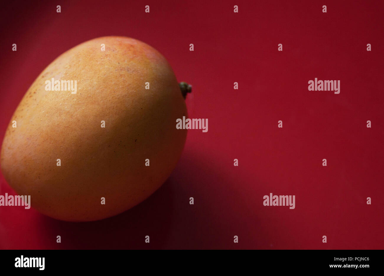 A Mango Isolated. Mangoes are juicy stone fruit (drupe) from numerous ...