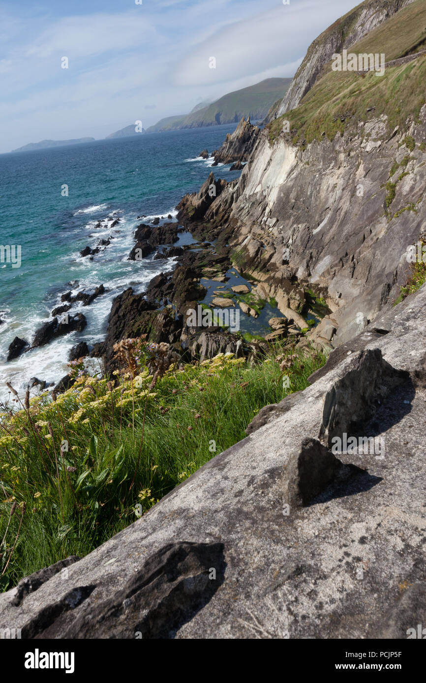 Coomenoole Beach on the Dingle Peninsula in Kerry County on the Wild ...