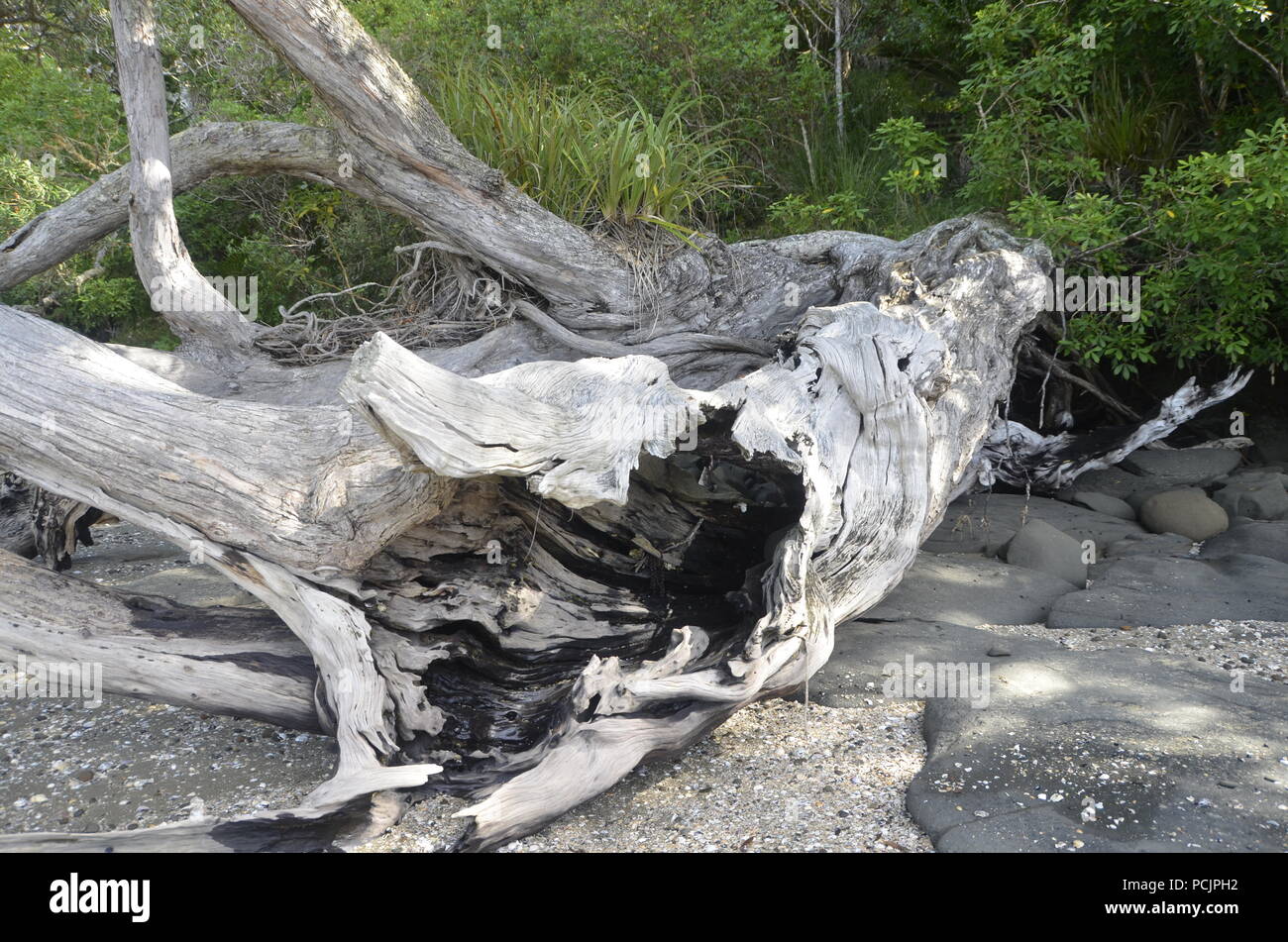 Sandspit New Zealand Stock Photo - Alamy