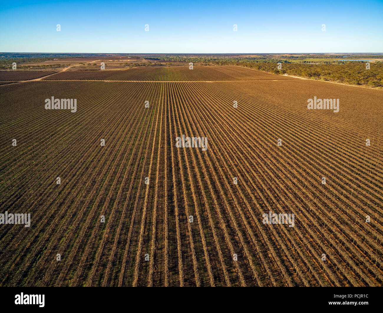 Vineyard aerial hi-res stock photography and images - Alamy