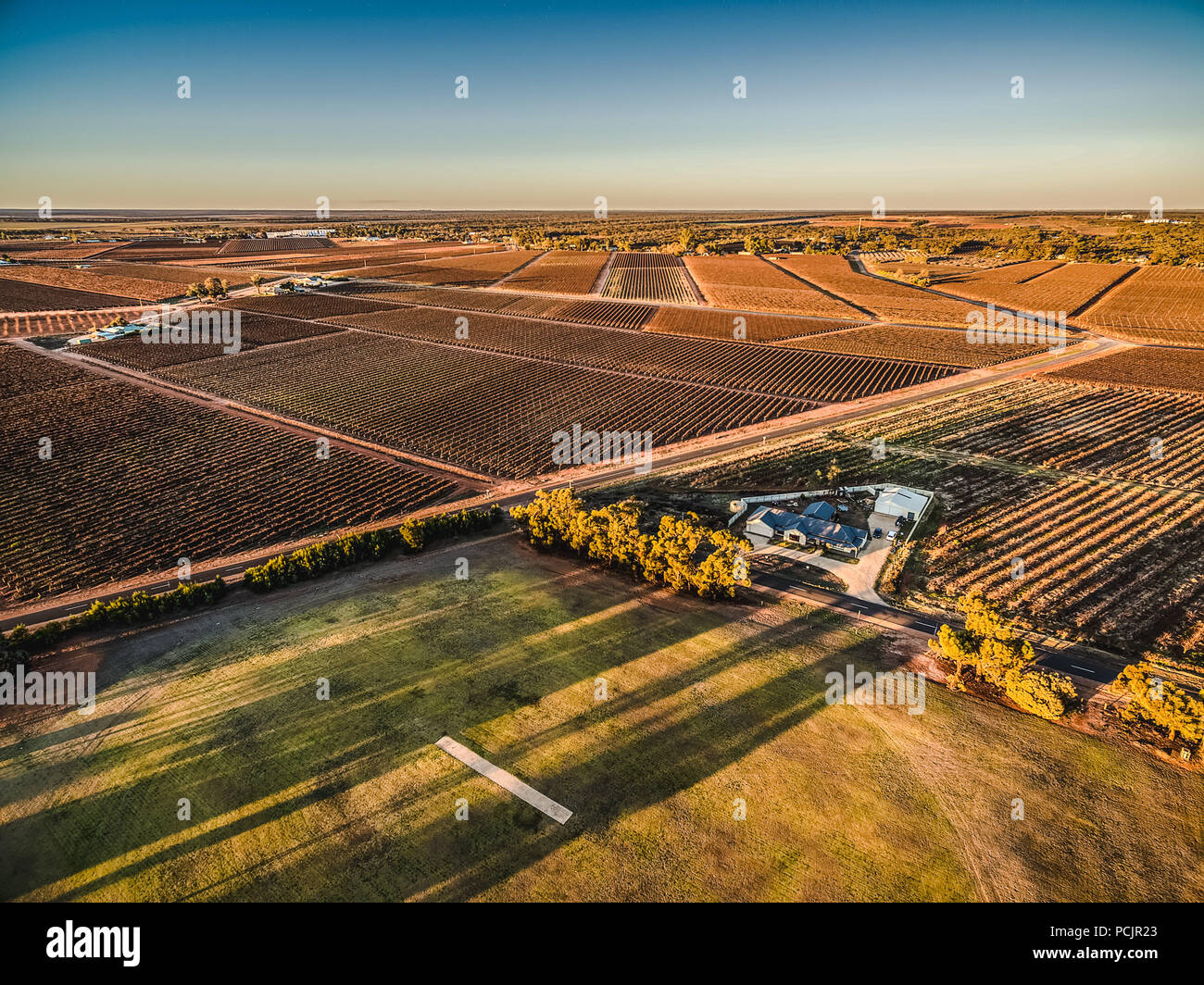 Aerial landscape of rectangles of vineyards in Monash, South Australia ...