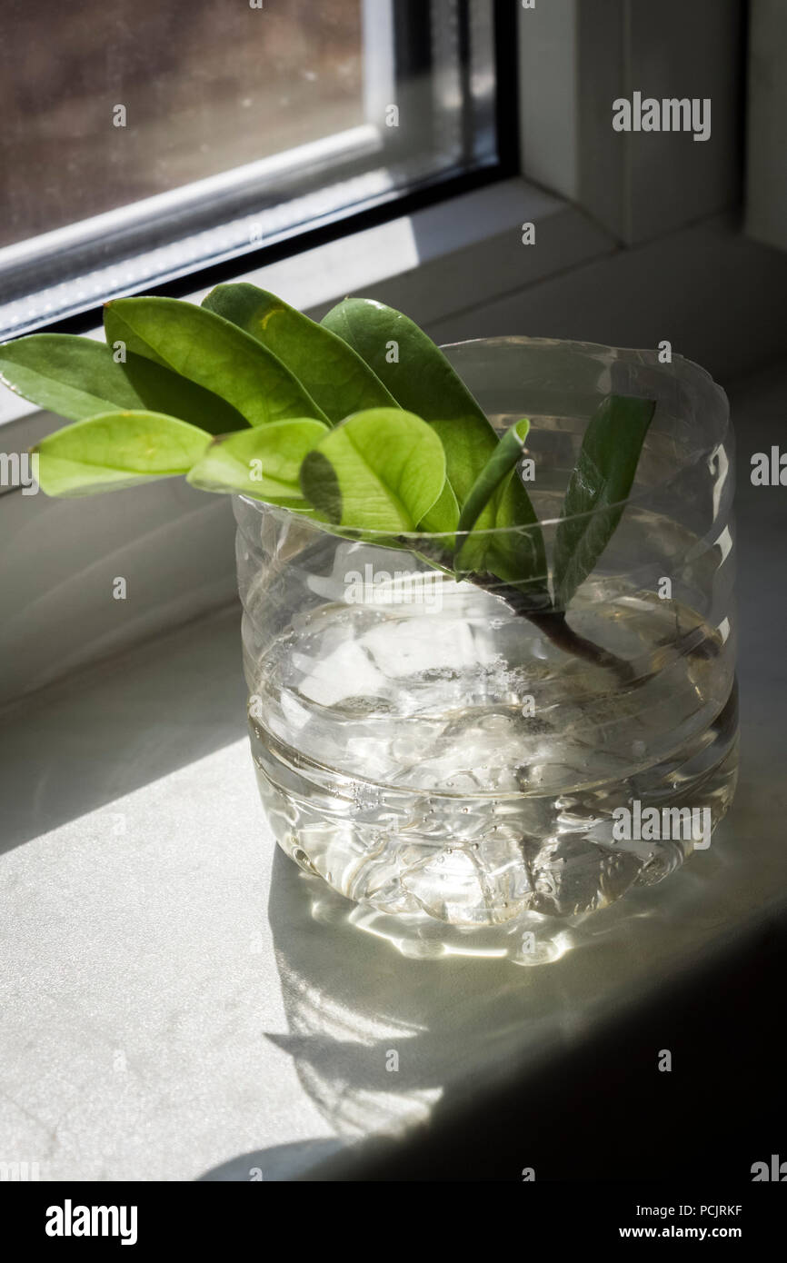 Sill water hi-res stock photography and images - Alamy