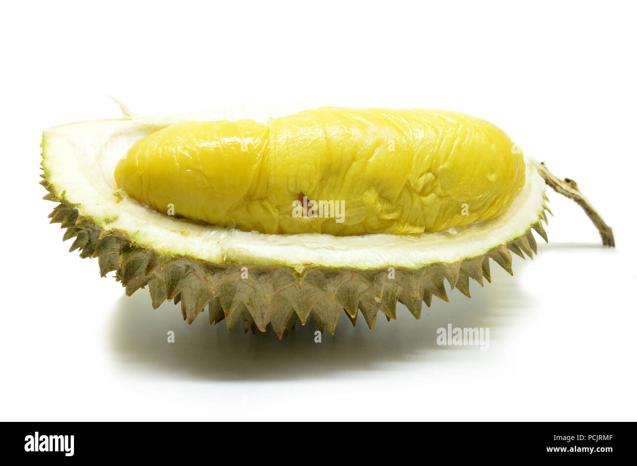 Durian fruit isolated on white background.The durian is distinctive for ...