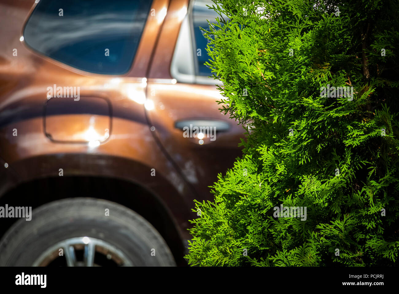Back garden car parking hi-res stock photography and images - Alamy