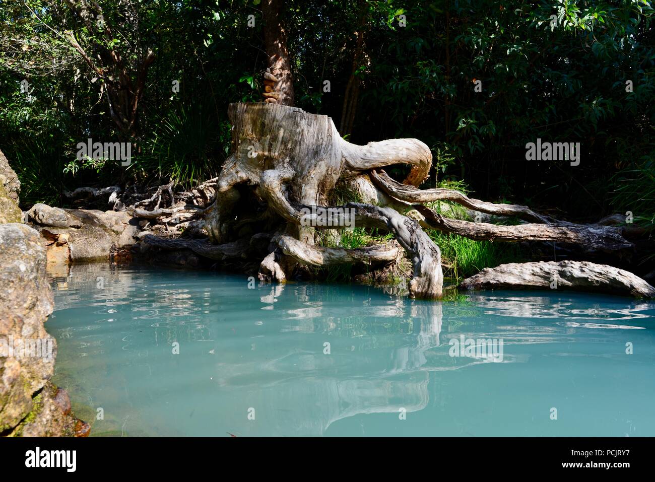 Family pool candid hi-res stock photography and images - Alamy