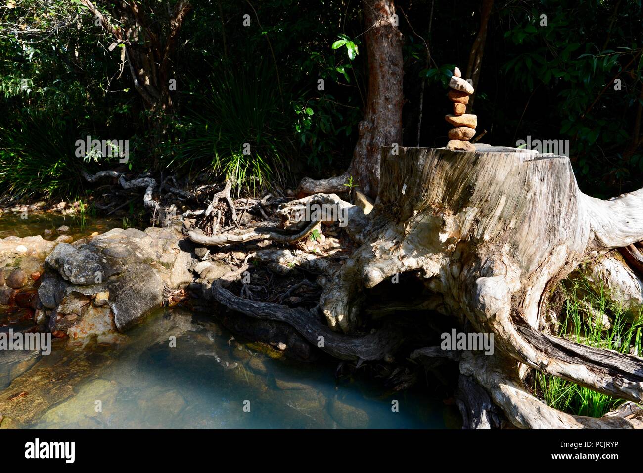 Family pool candid hi-res stock photography and images - Alamy