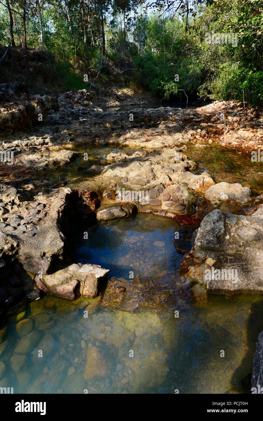 Cardwell pool hi-res stock photography and images - Alamy