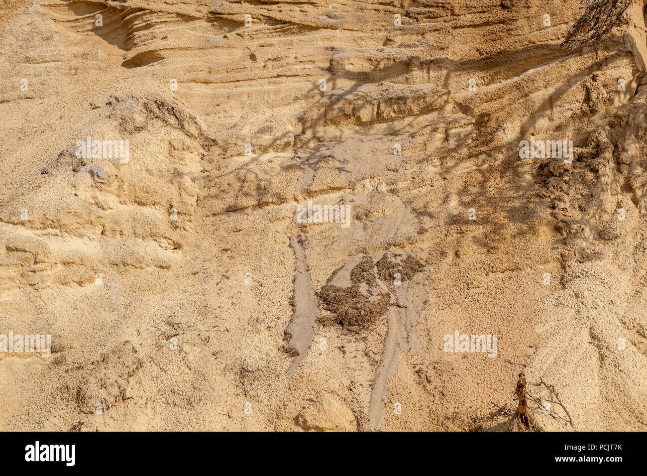 Sandy beach with patterns from the streams of water. The texture of the ...
