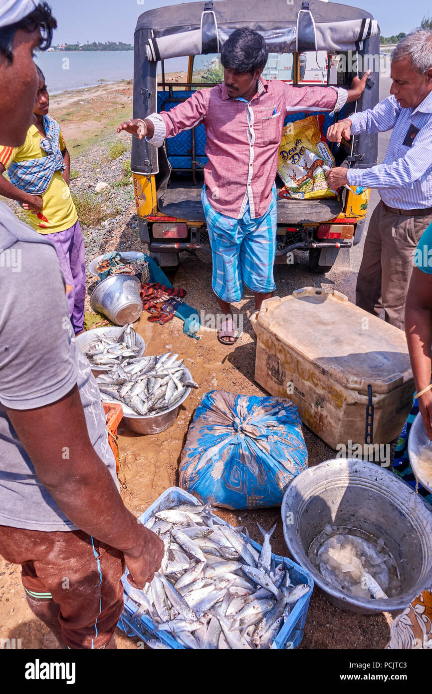 Indian fishermen hi-res stock photography and images - Alamy