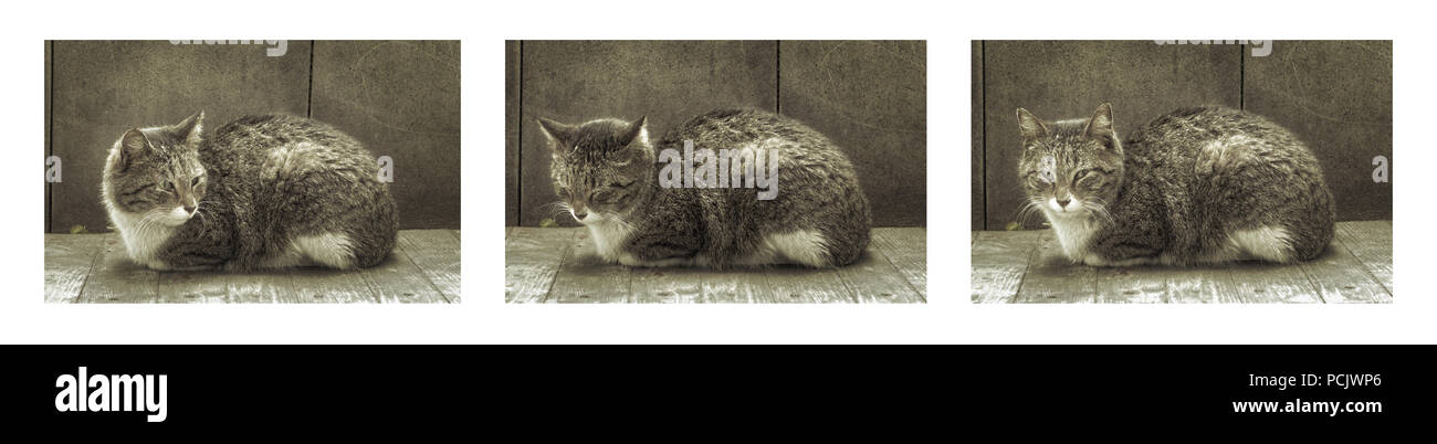 Photos frames interior Cut Out Stock Images & Pictures - Alamy