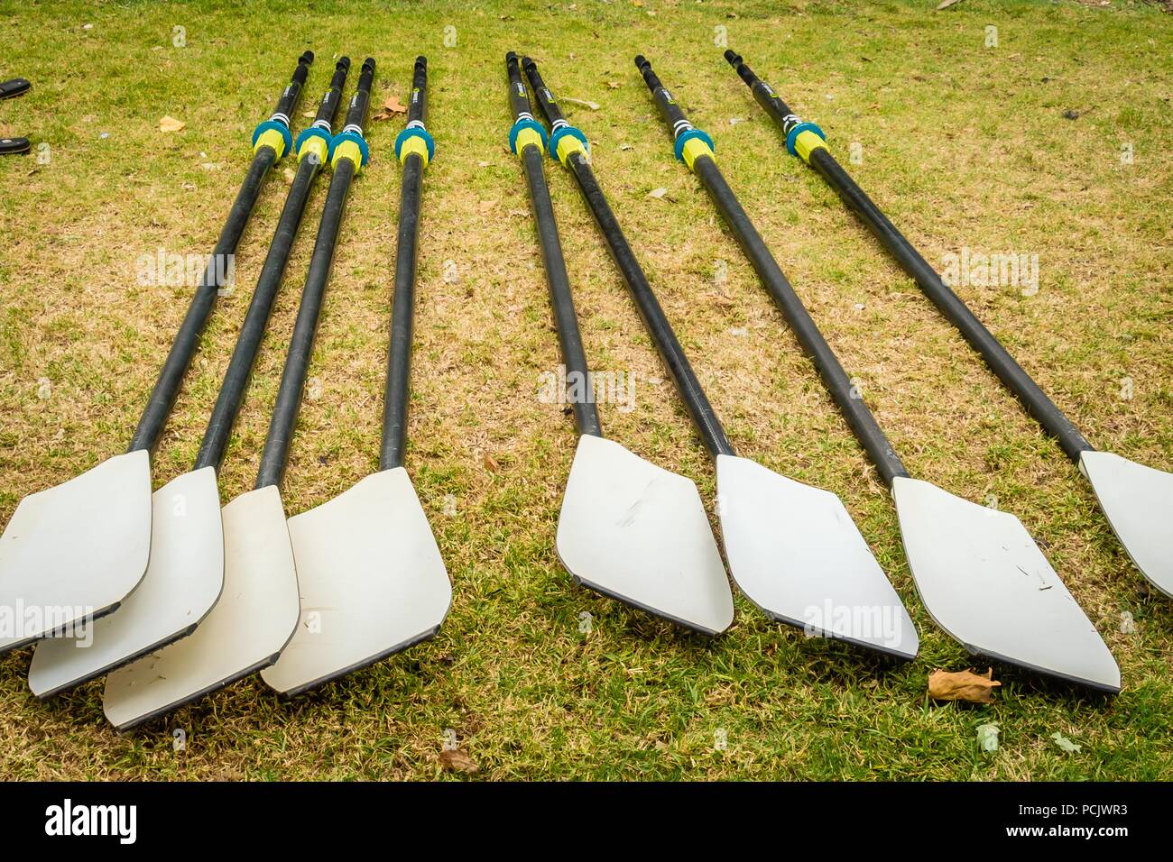 Paddles for rowing in the grass for a competition Stock Photo - Alamy