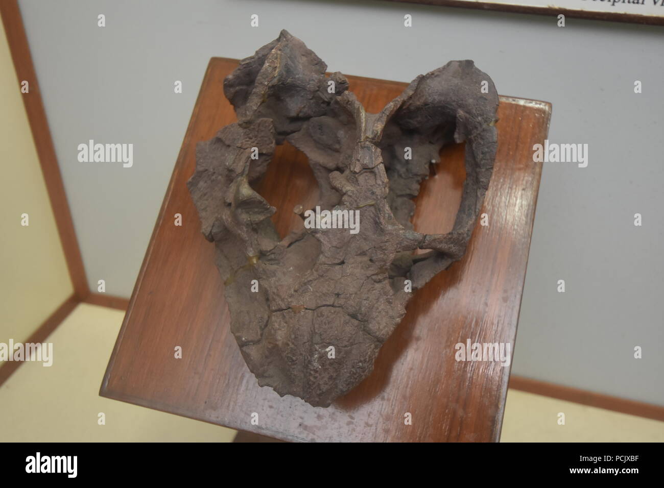 Isi triangular hi-res stock photography and images - Alamy