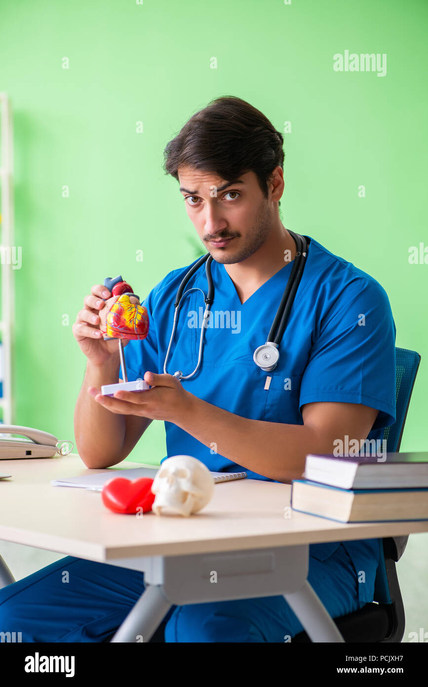 Doctor student explaining heart problems Stock Photo - Alamy