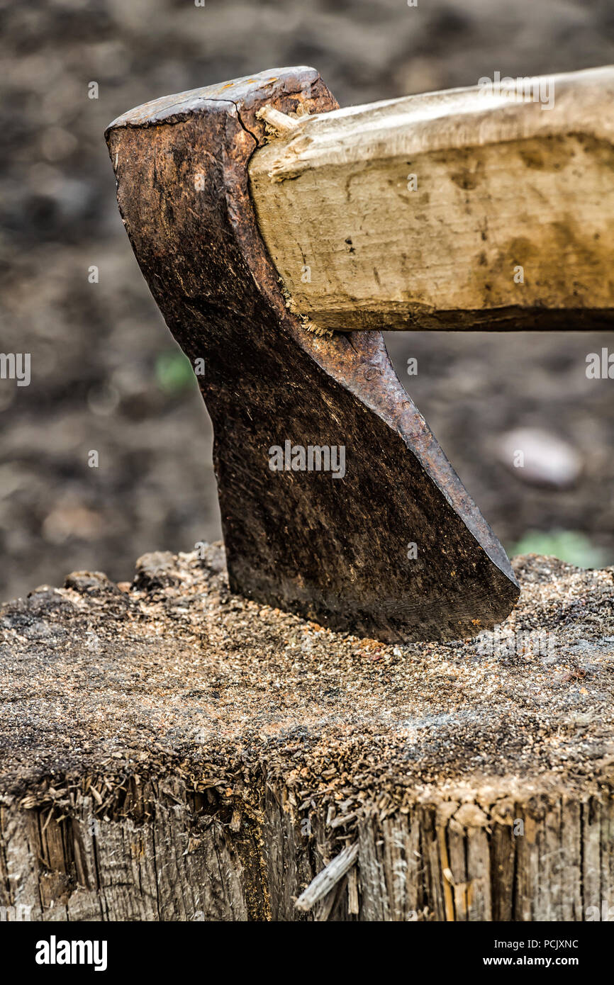 Axed tree hi-res stock photography and images - Alamy