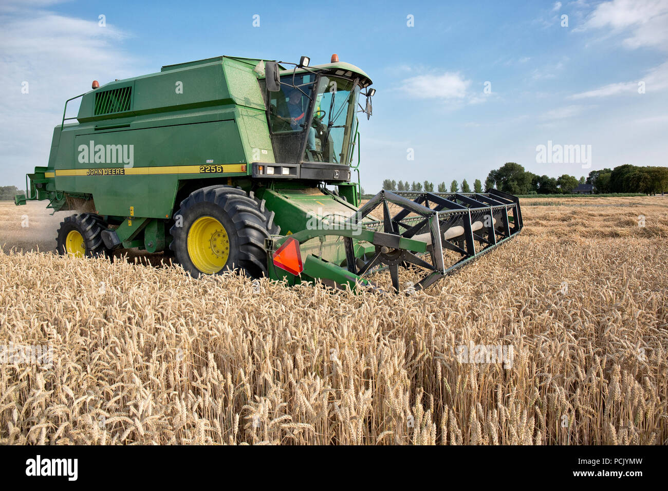 Threshed grain hi-res stock photography and images - Alamy