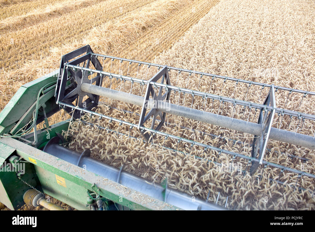 Inside Combine harvester, being used to harvest wheat in a field Stock ...