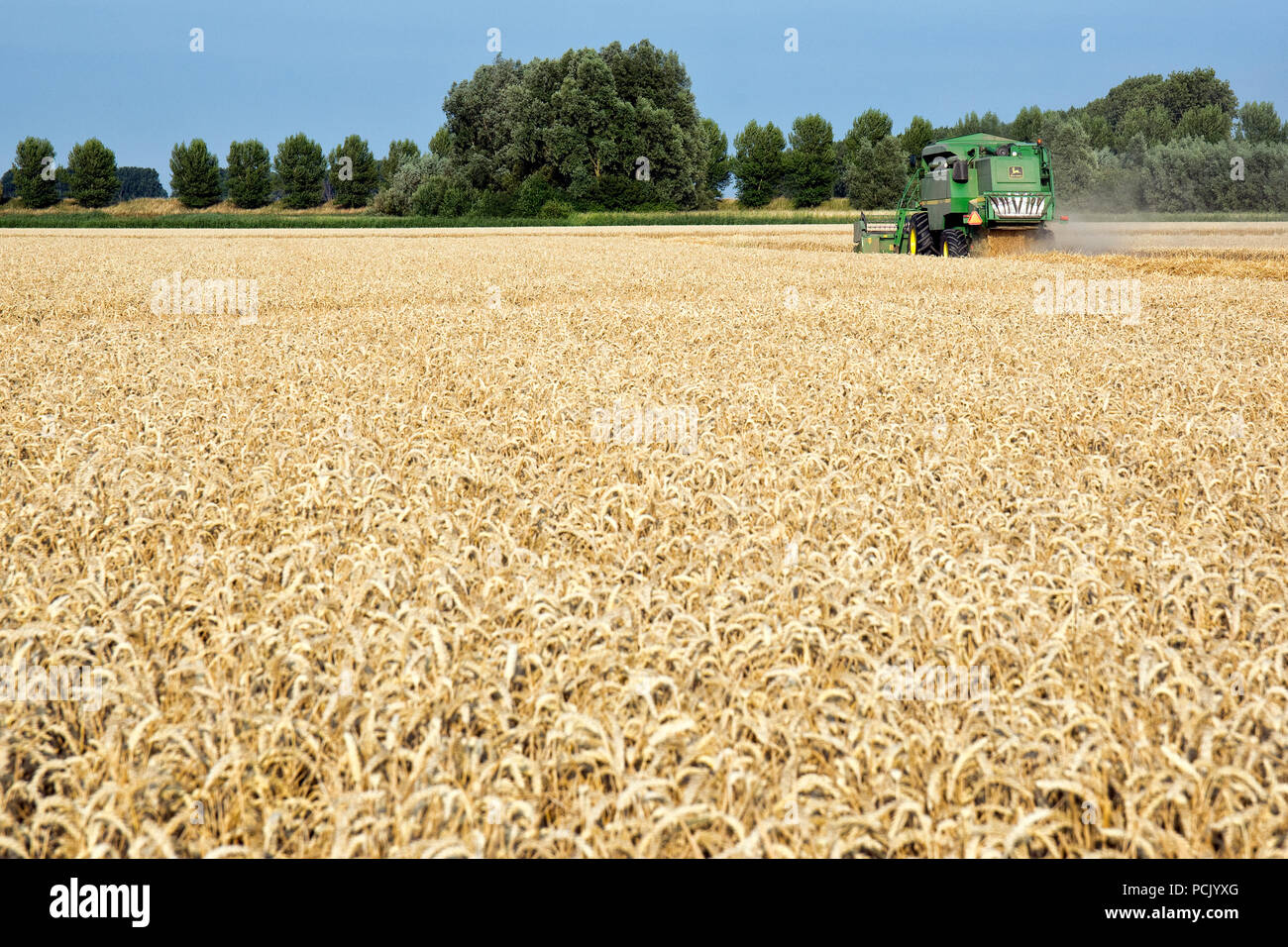 Threshed Grain High Resolution Stock Photography and Images - Alamy