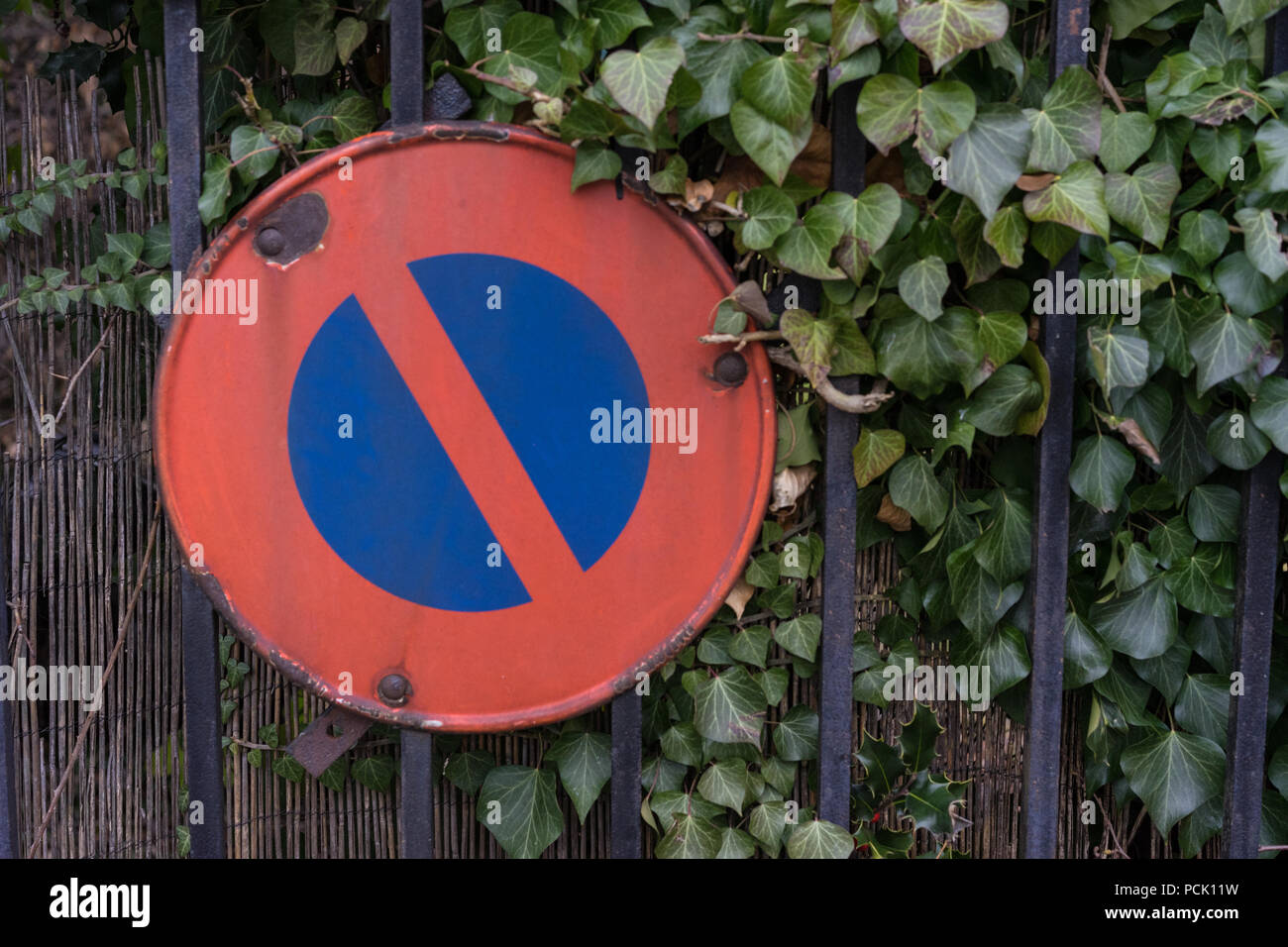 parking forbidden sign covered with leaves on wood board Stock Photo ...