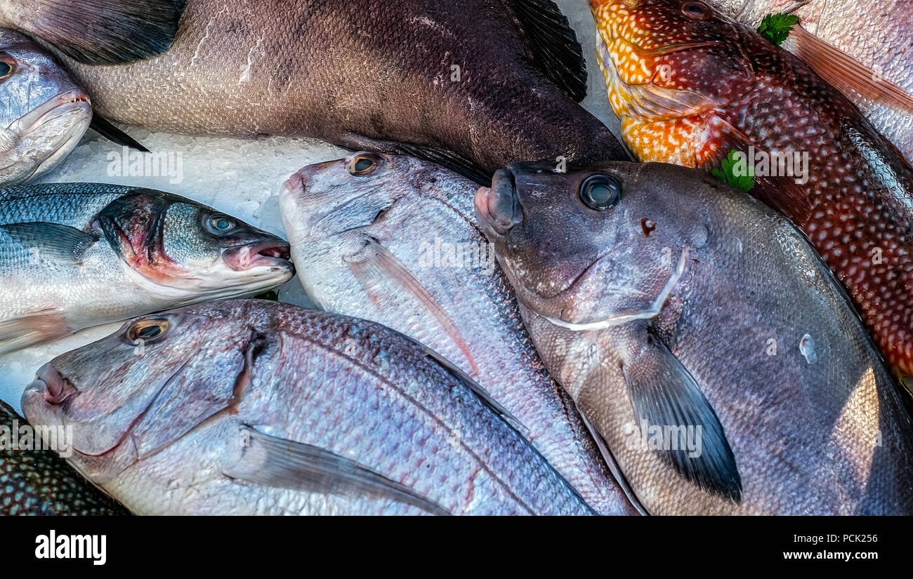 fresh fish on ice Stock Photo - Alamy