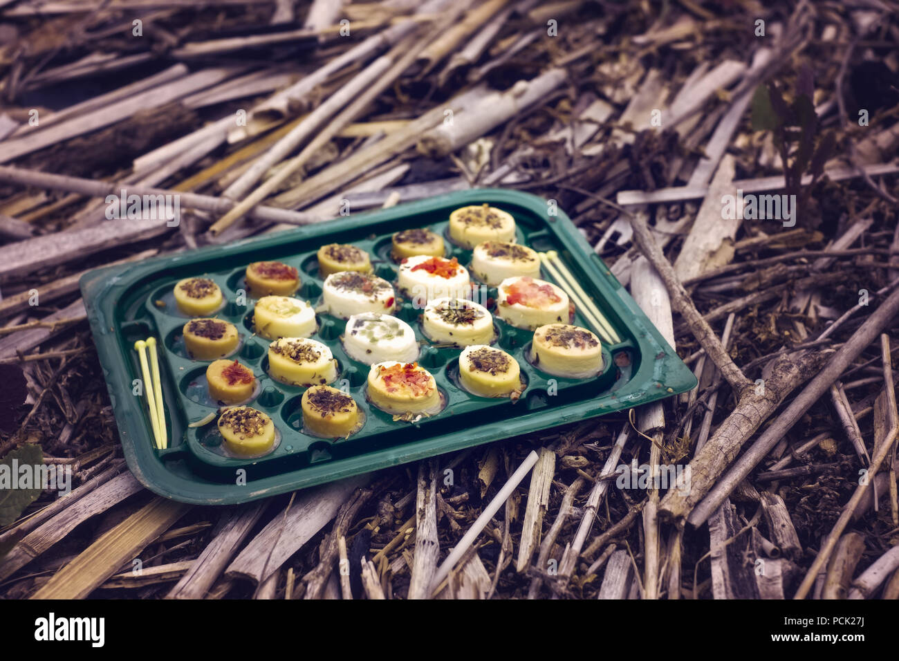 Discarded lunch hi-res stock photography and images - Alamy