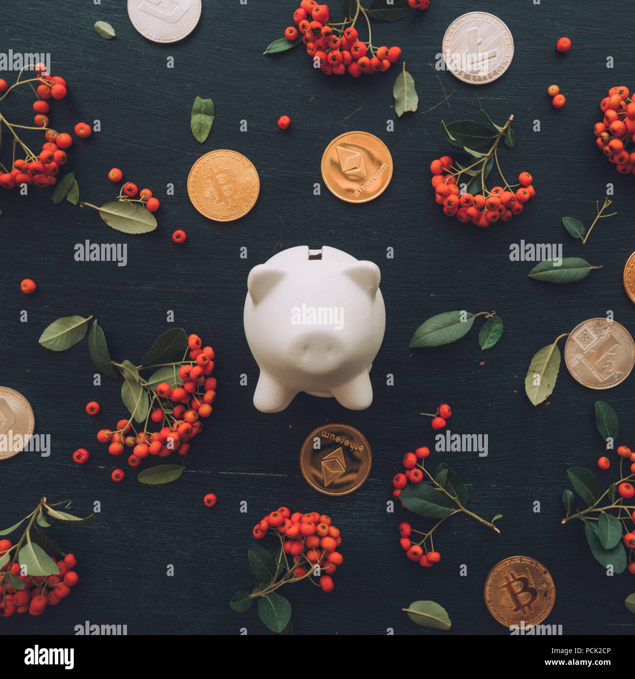 Flat lay piggy coin bank and cryptocurrency coins on dark wooden ...