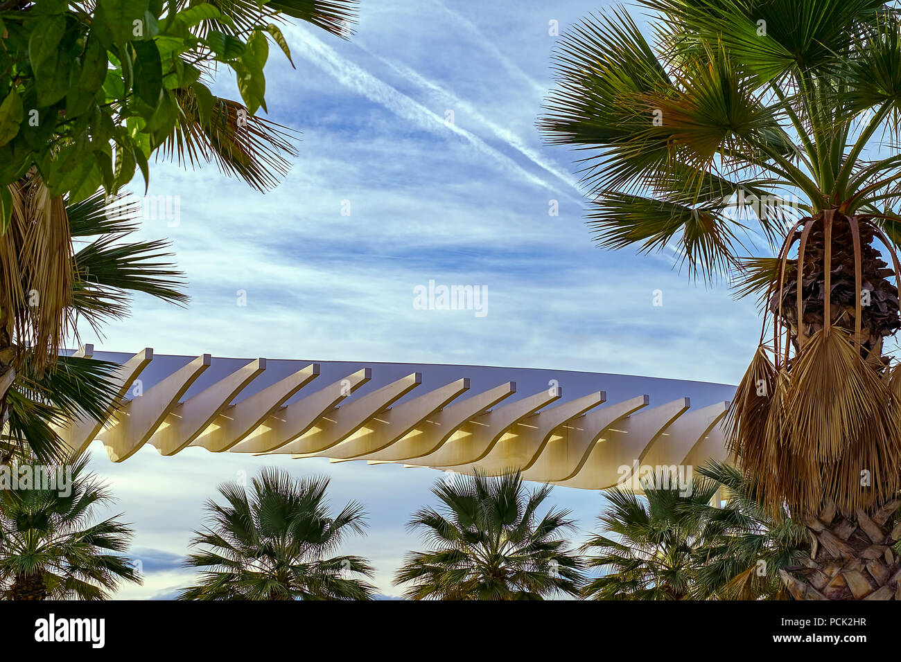 Palm trunk construction hi-res stock photography and images - Alamy