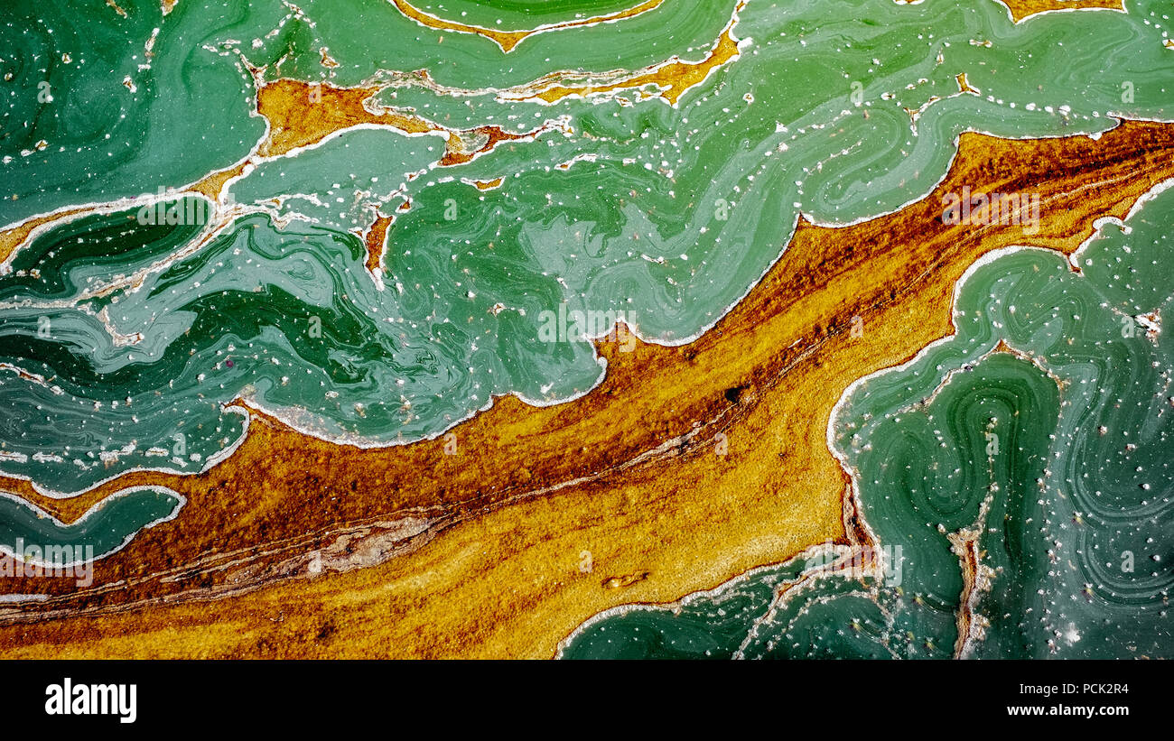 Dead algae bloom hi-res stock photography and images - Alamy