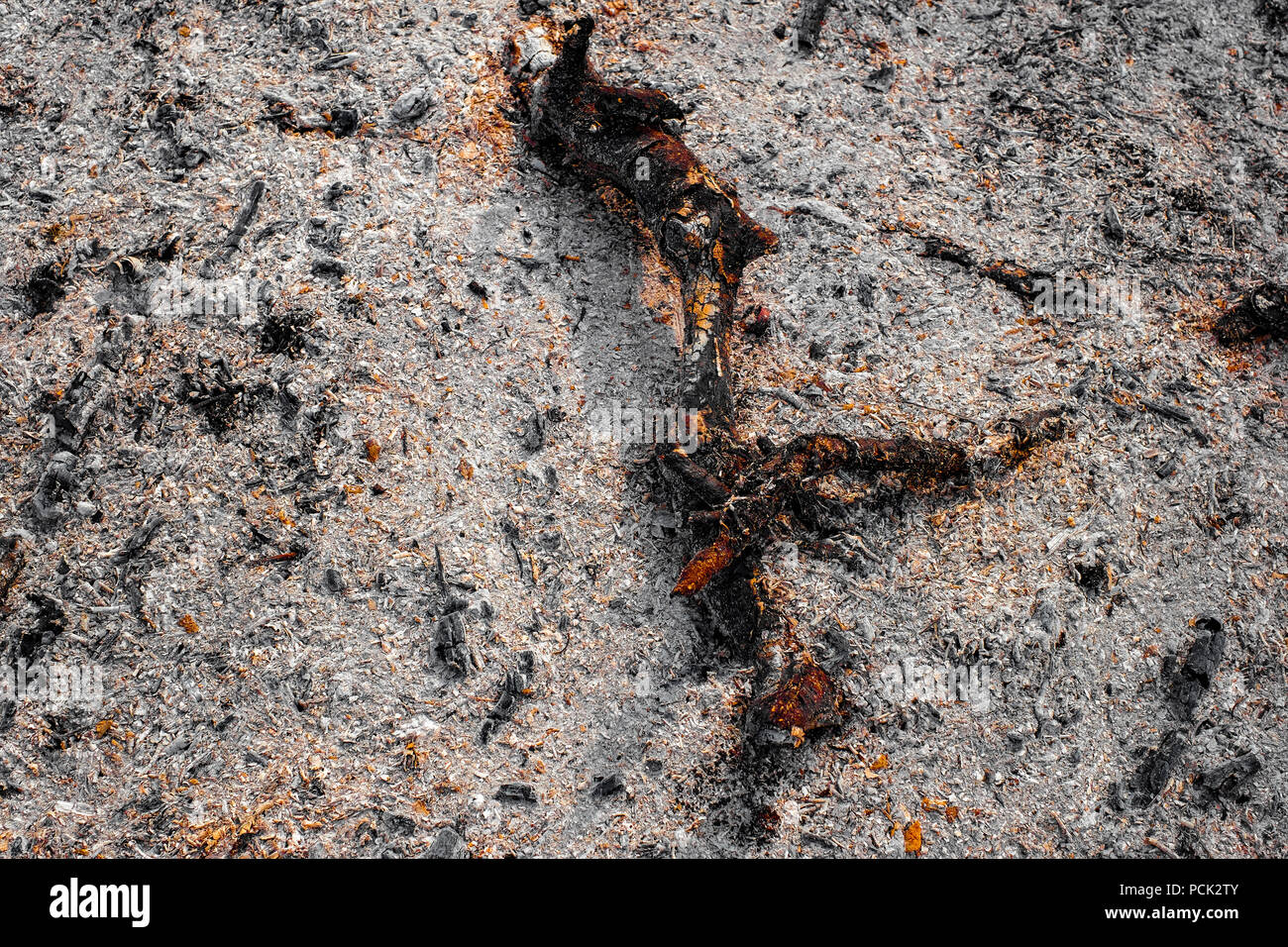 Remains of wood coal and ashes Stock Photo - Alamy