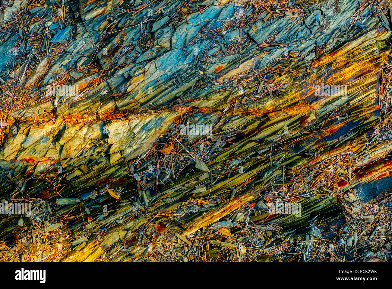 Rocks and pine needles Stock Photo - Alamy