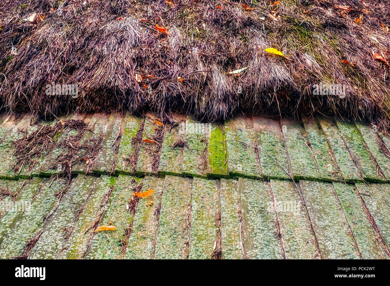 roof of straw and shingle with lichen Stock Photo - Alamy