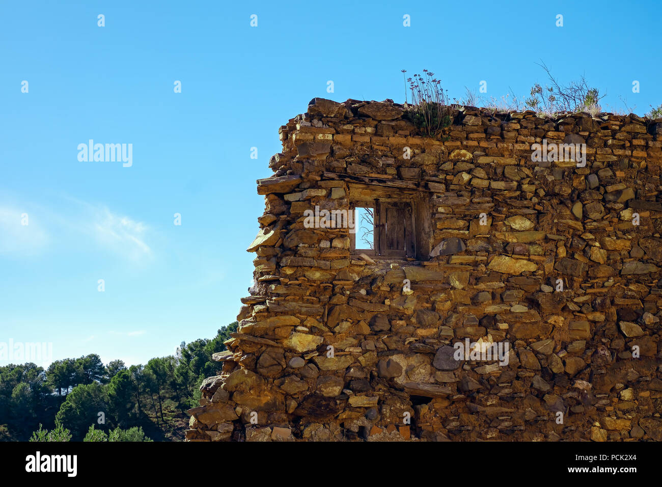 ruins in the forest Stock Photo - Alamy